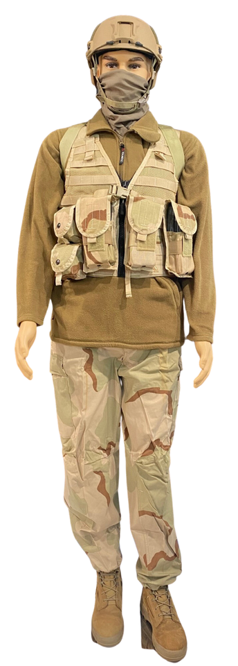 MOLLE II Backpack Kit Desert Camo DCU 19 Piece "NEW" | eBay