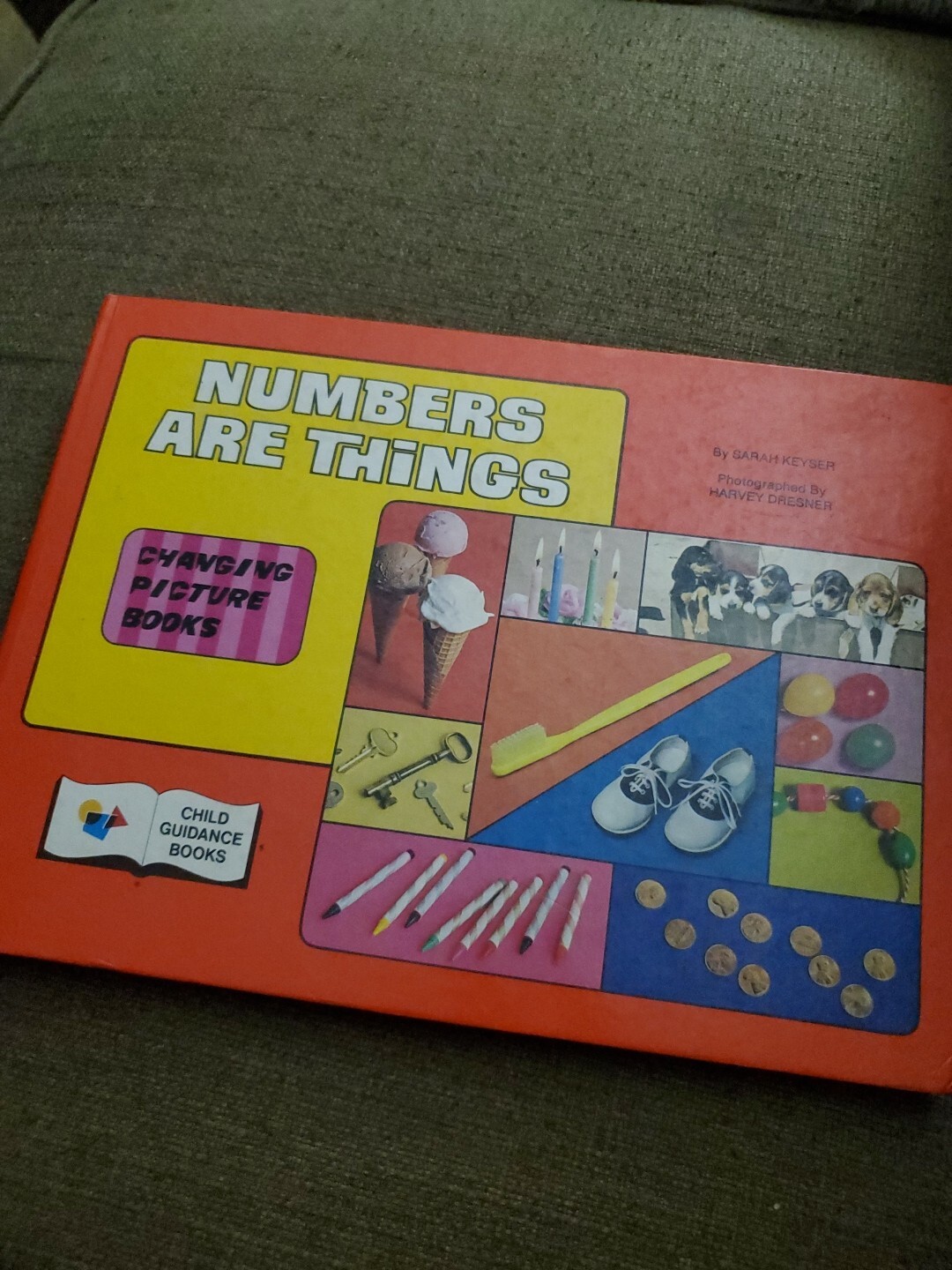 CHANGING PICTURE Book ~Numbers Are Things~ by Sarah Keyser, Harvey ...