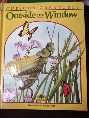Outside My Windows by Bernice Rappoport (Hardcover) 9780716616115| eBay