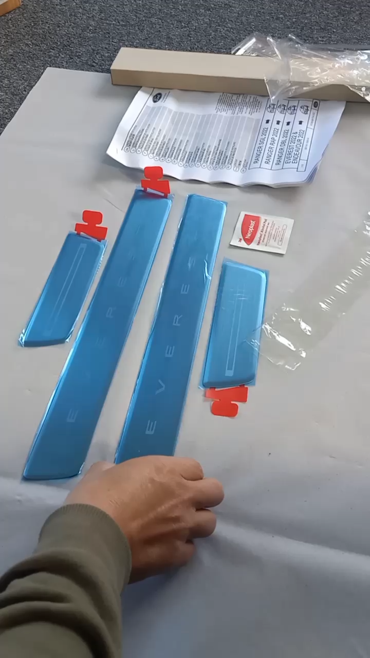 Ford Everest Next Gen Genuine Scuff Plates 4 doors EVEREST 2022-25 ...