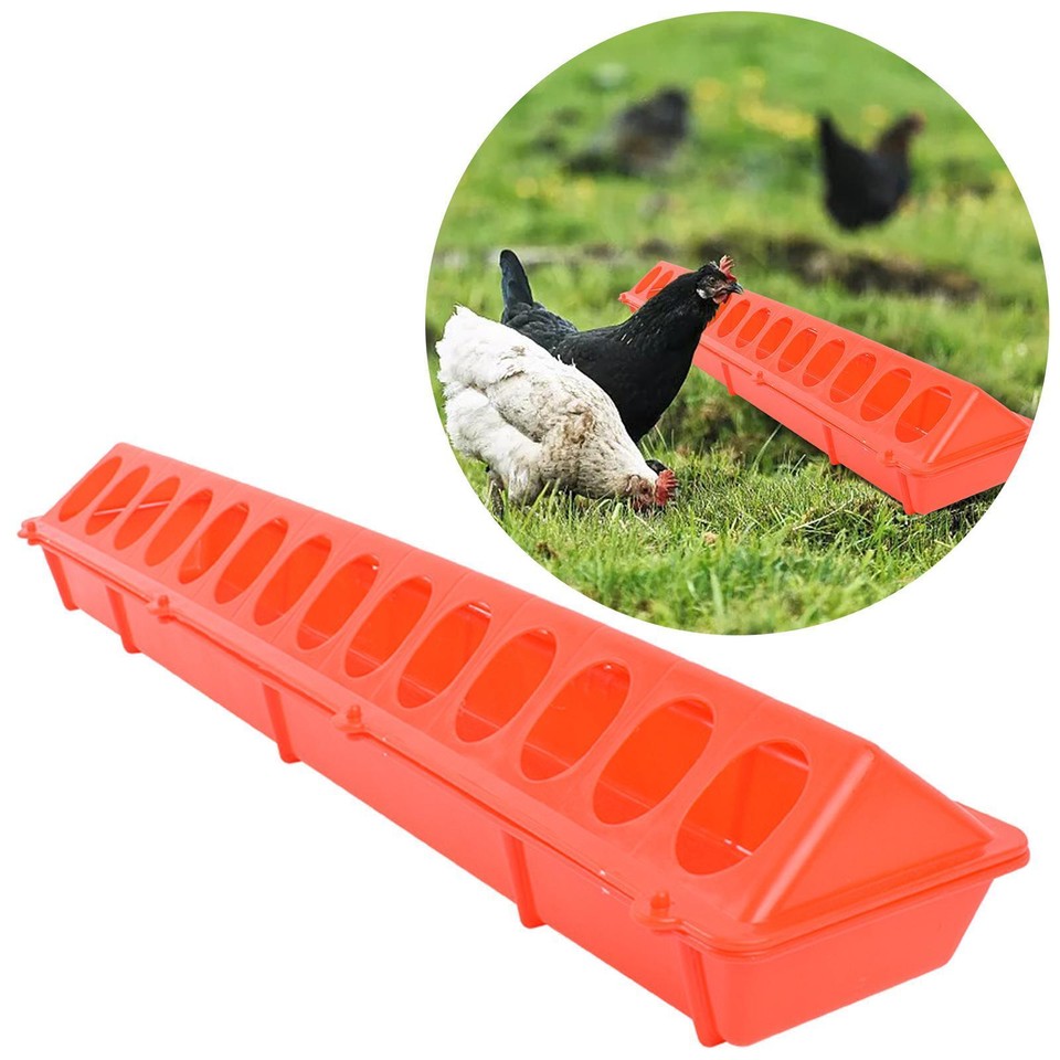 Feeder Waterer Water Drinker Birds Feeding Trough for Pheasants | eBay