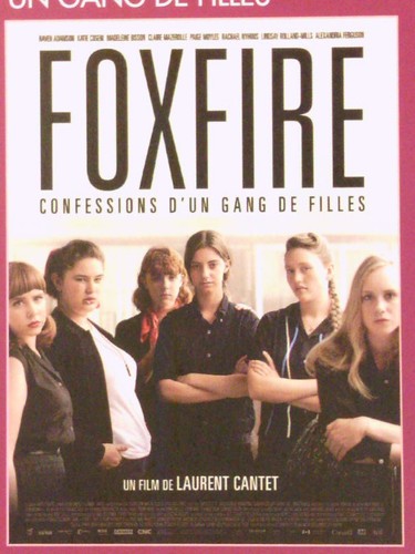 DVD / FOXFIRE, CONFESSIONS D'UN GANG DE FILLES / LAURENT CANTET / TRES BON ETAT | eBay