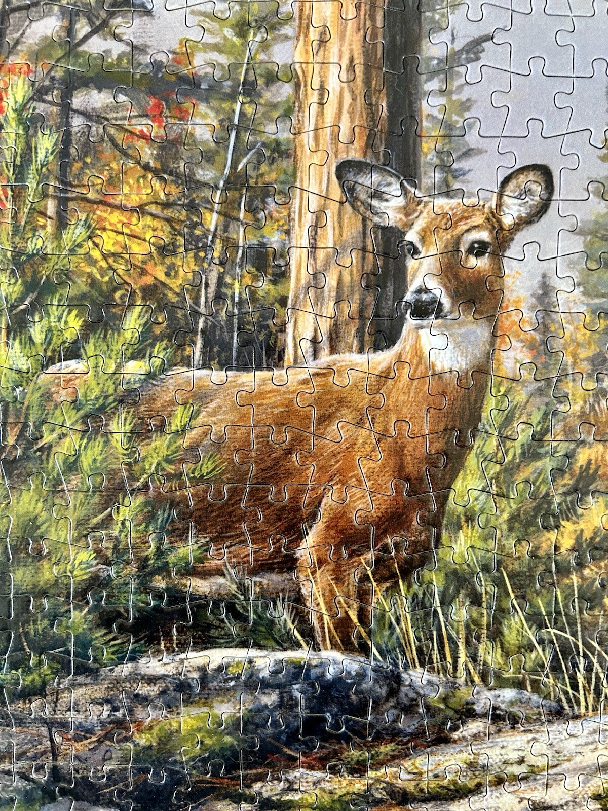 Buffalo Games Standing Proud 1000 pc Puzzle Buck Deer Complete | eBay