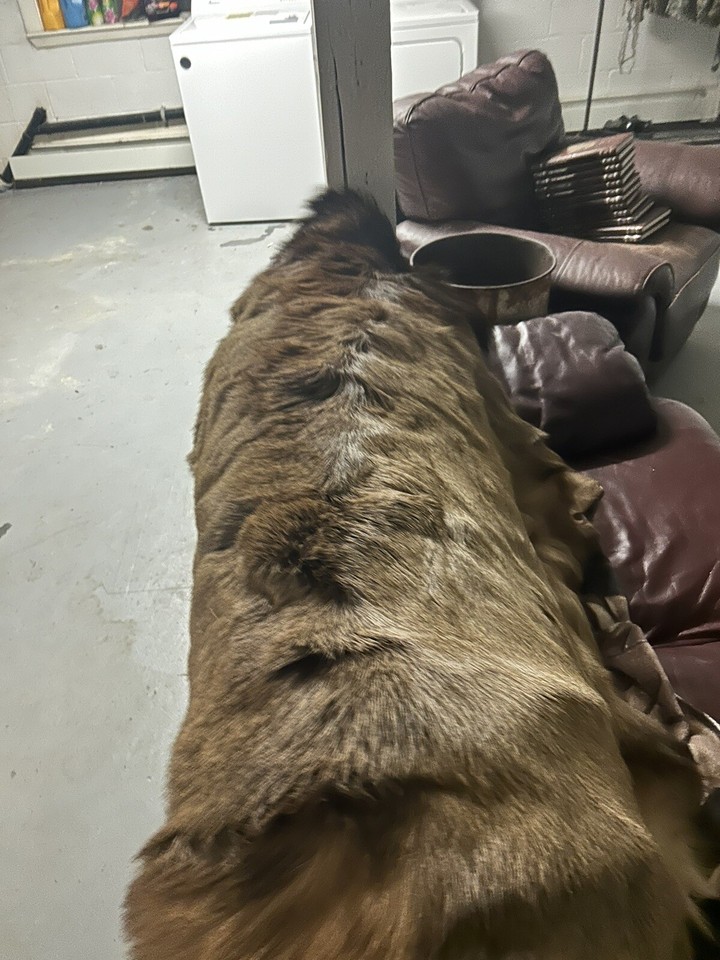 tanned elk hide | eBay