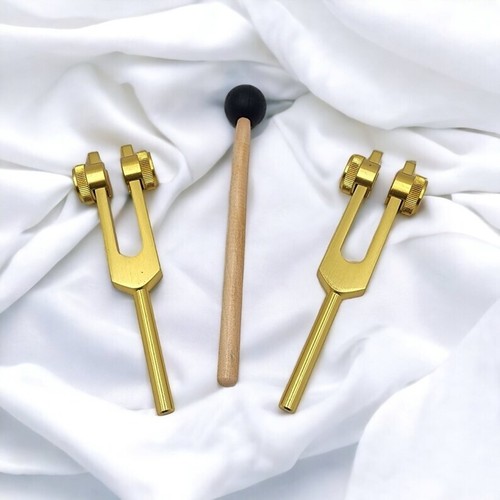 Gold Color Weighted Cellulite tuning fork 295.80 Hz and 324Hz set | eBay