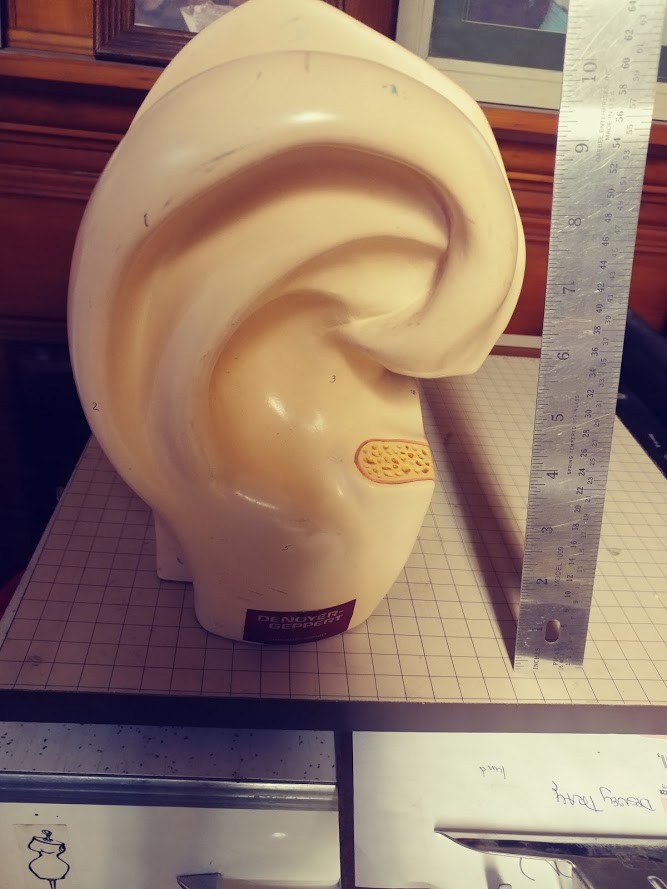 VINTAGE DENOYER-GEPPERT INNER EAR MODEL HAND PAINTED SIGNED 6/89 GIANT ...