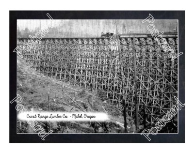 Historic Coast Range Lumber Co. - Mabel, Oregon Train Postcard | eBay