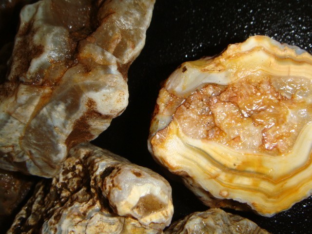 WHOLE ROUGH CALANDRIA AGATE NODULES 1 1/4 POUNDS CHIHUAHUA MEXICO | eBay