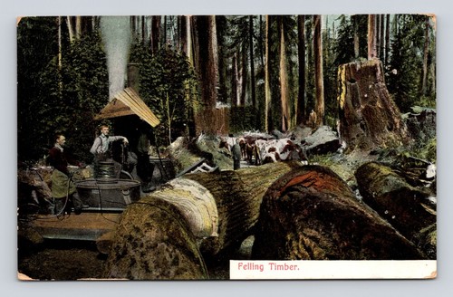 Postcard Lumberjacks Giant Redwood Tree Felling Timber Fredalba CA ...