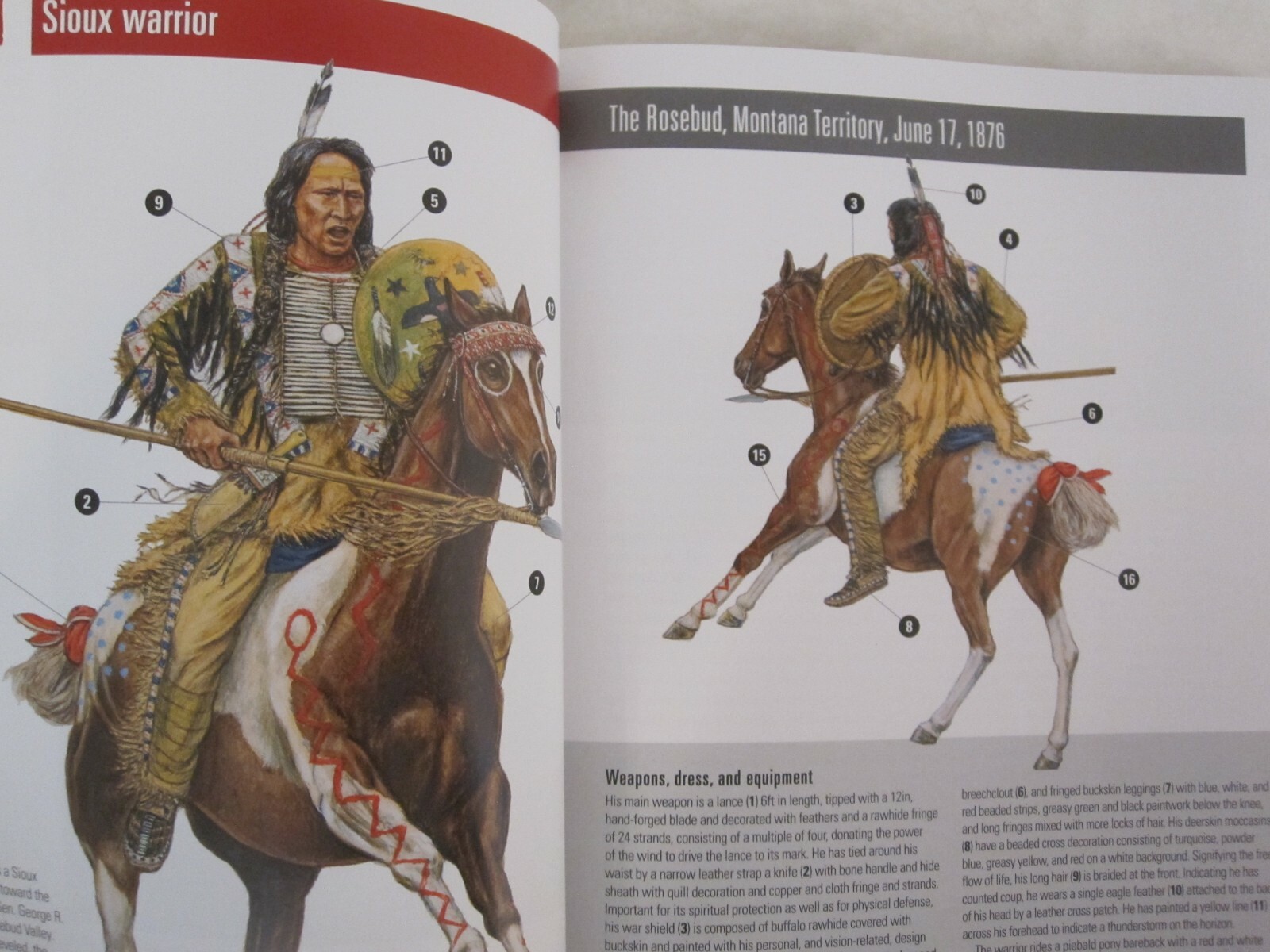 Osprey - Sioux Warrior vs US Cavalryman Little Big Horn Campaign (Combat 43) 9781472831880 | eBay