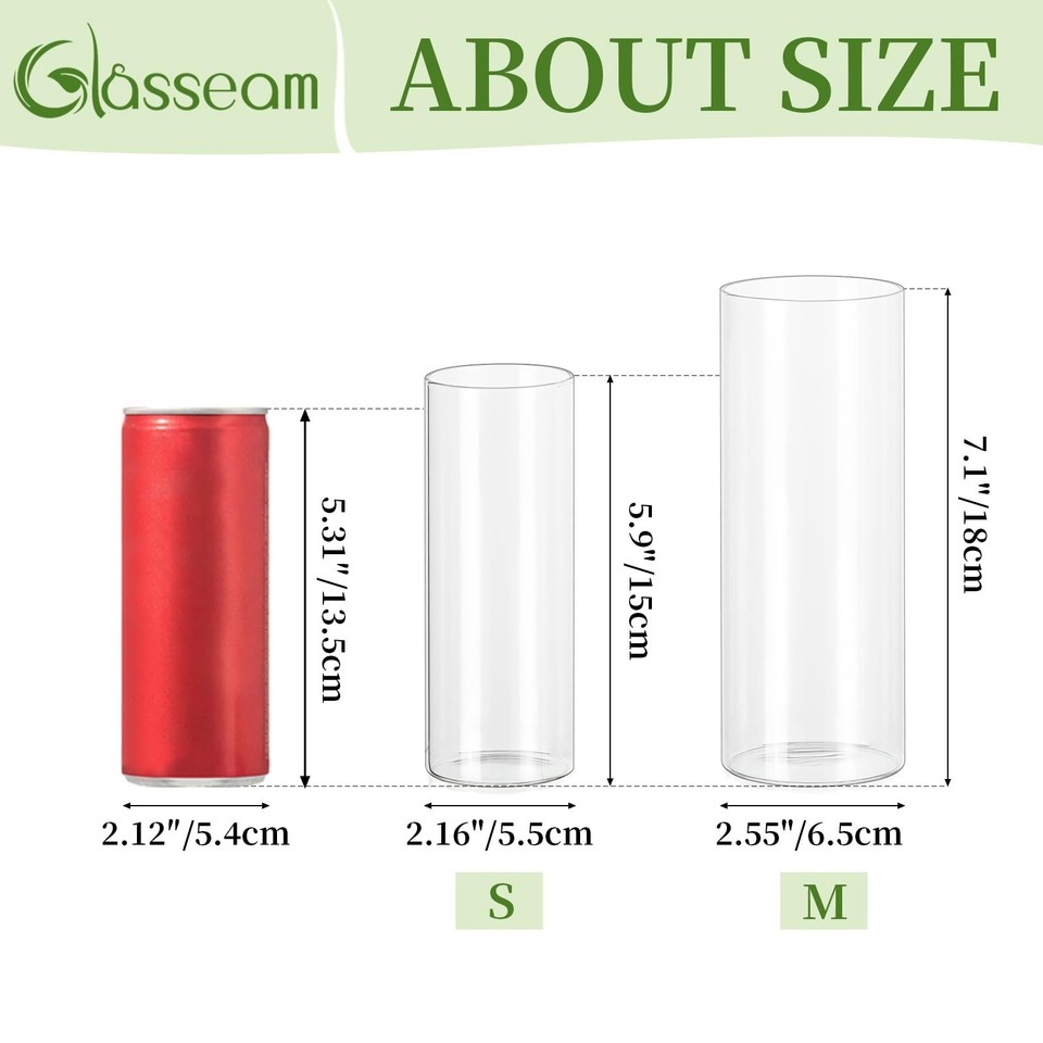 Glass Cylinder Vase in Bulk: 12pcs Clear Small Bud Flower Vases for ...