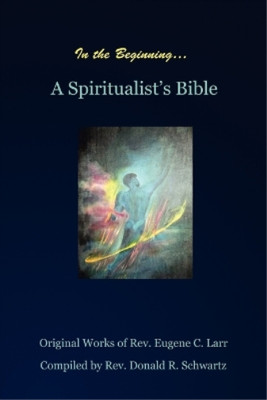 Donald Schwartz In the Beginning (Poche) | eBay