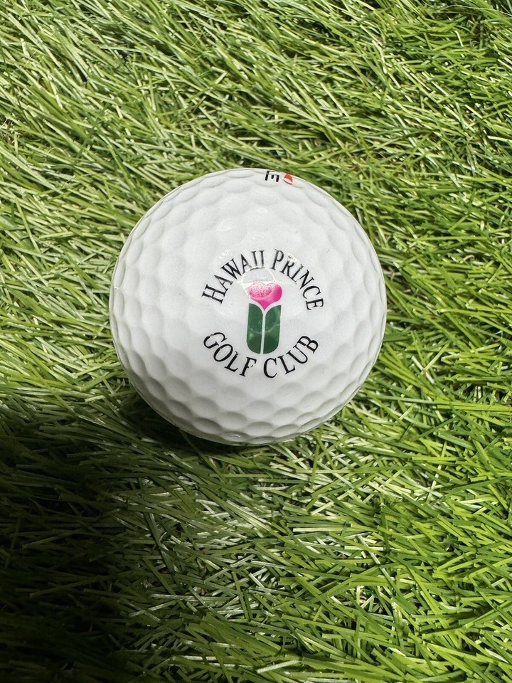 Golf Course Logo Collectors Golf Balls #3 | eBay
