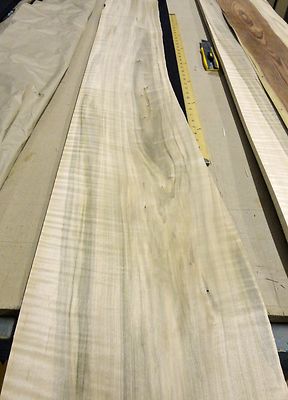 Spalted Ambrosia Wormy Maple Figured Fiddleback wood veneer 7" x 75" x ...