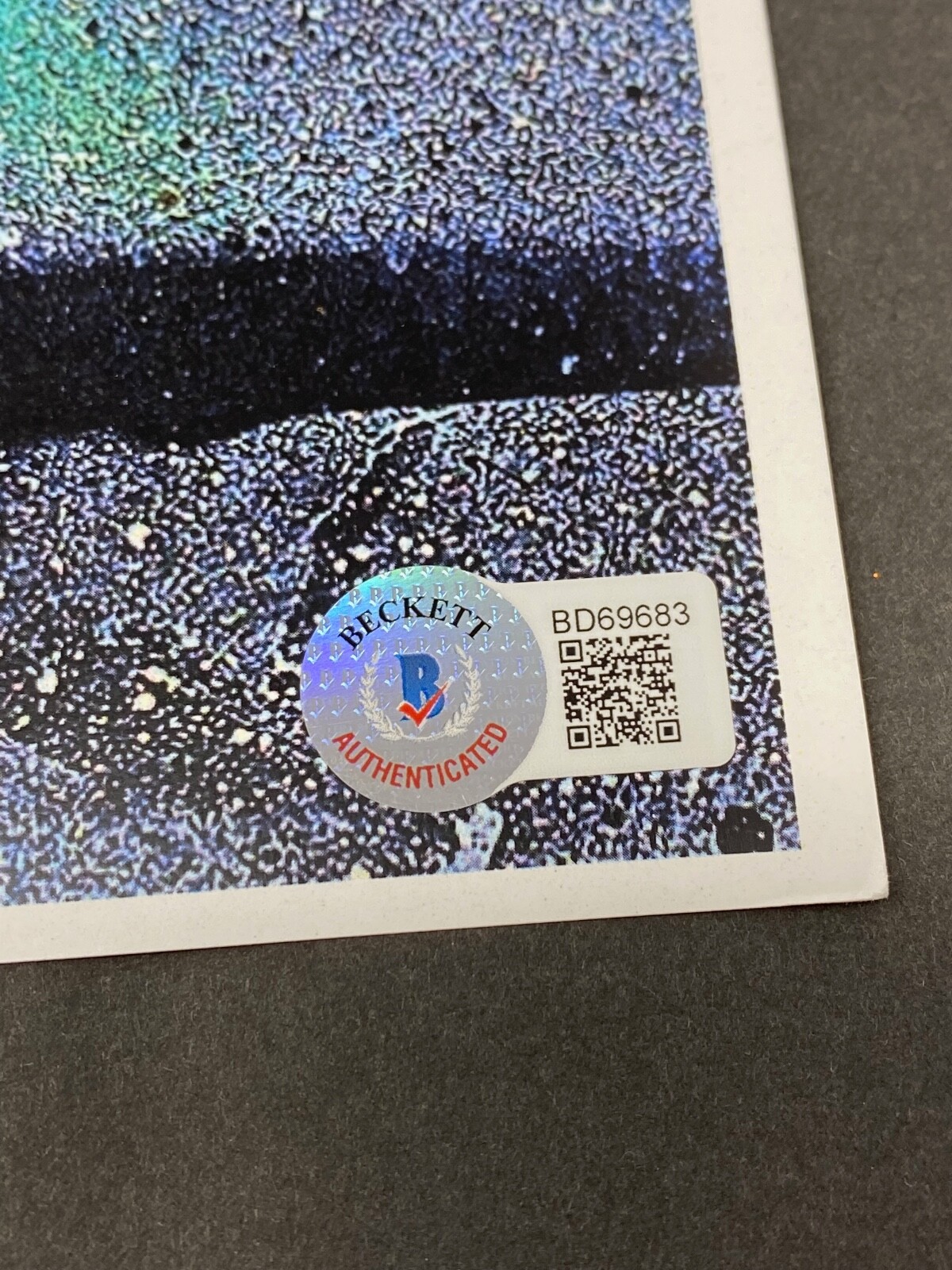 Keith Morris Zander Schloss Signed Repo Man Poster The Circle Jerks ...