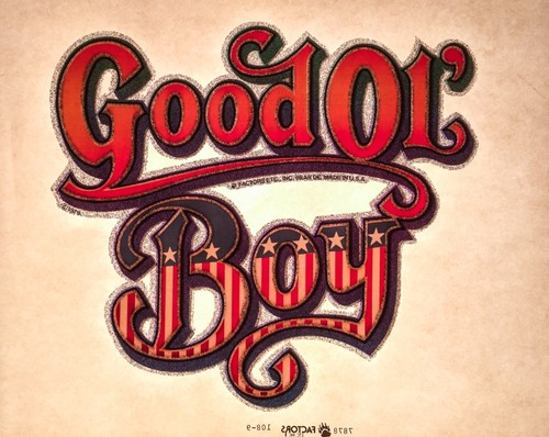 VTG 70s Good 'ol Boy Dukes of Hazzard Country Music Waylon Rebel t ...
