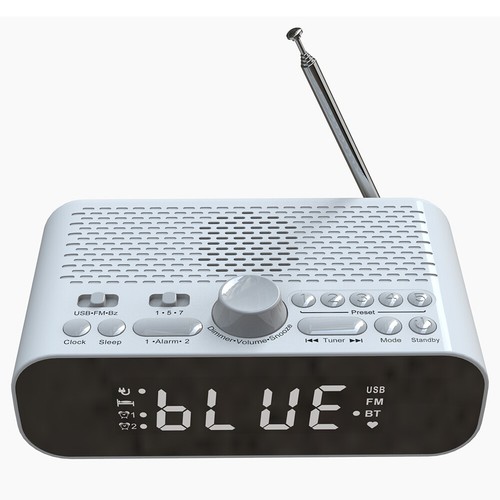 FM Radio LED Display Digital Radio Rechargeable with Auto-Off Timer for ...