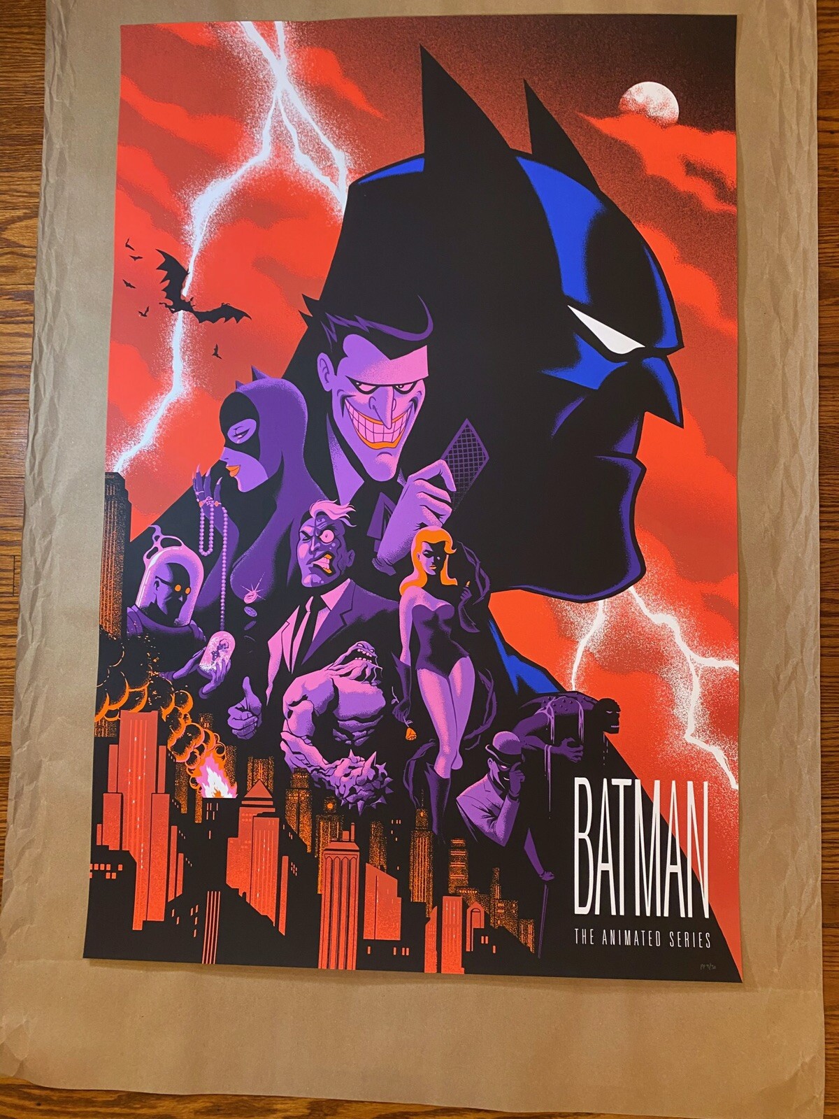 Batman : The Animated Series Poster Kristin Miklos DC BNG ...