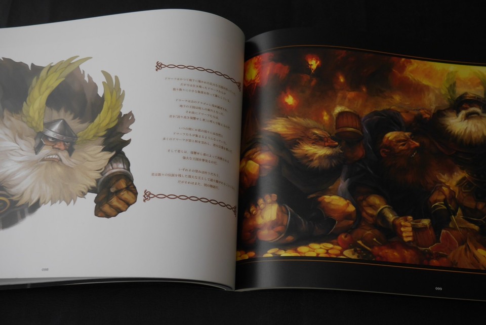 NEW JAPAN Dragon's Crown Art Book | eBay
