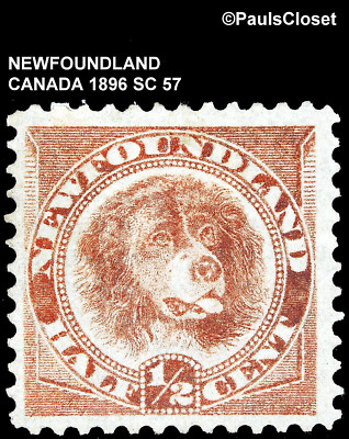 NEWFOUNDLAND 1896 SC 57 NEWFOUNDLAND DOG ORANGE RED ½¢ MHR OG FINE | eBay