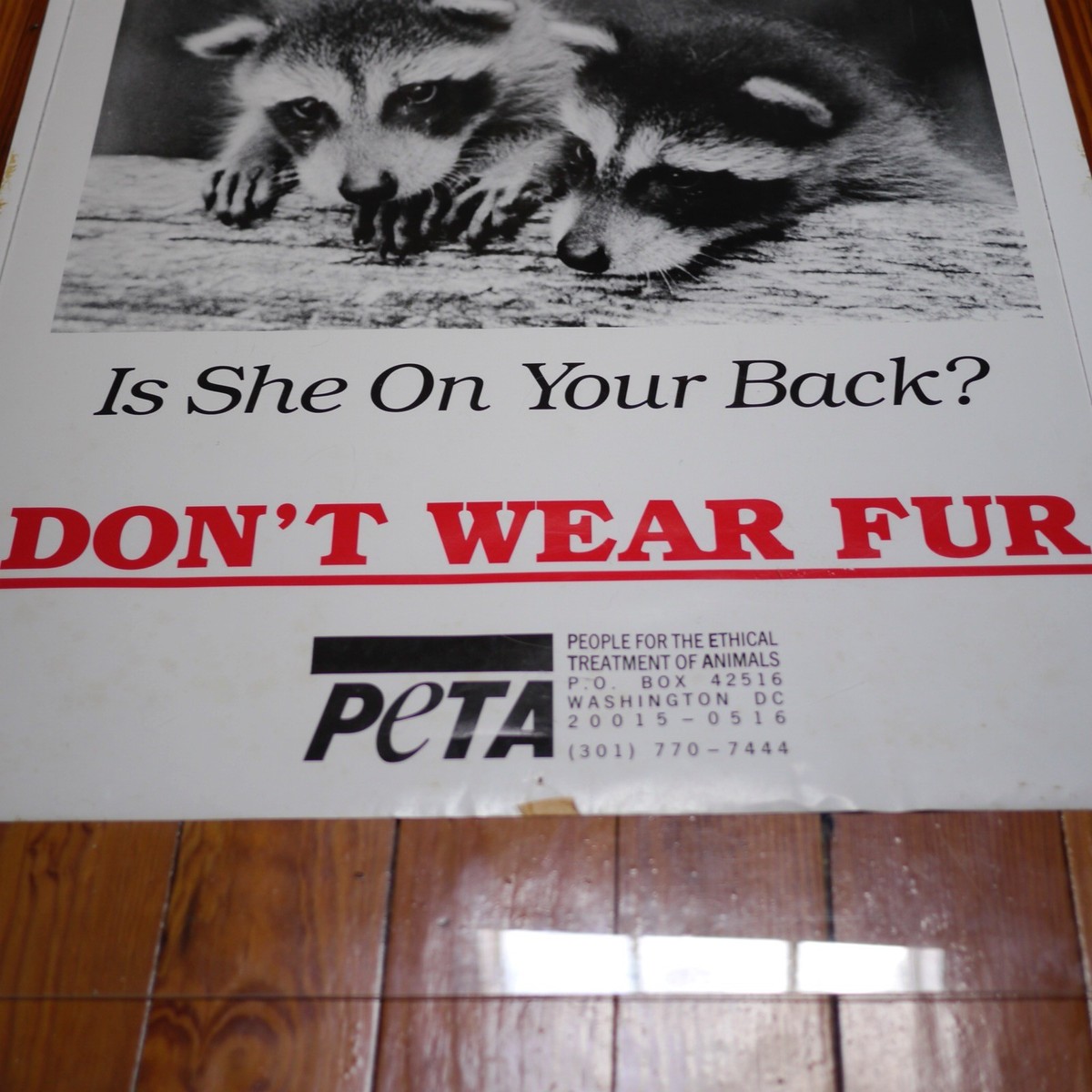 Animal Rights Poster Peta