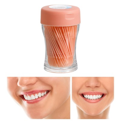 2-4pack 200x Toothpicks Tooth Cleaning Tool Stick Brush Toothpick ...