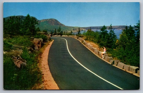 Postcard Ocean Drive Otter Cliff,Bar Harbor,Acadia National Park Maine ...