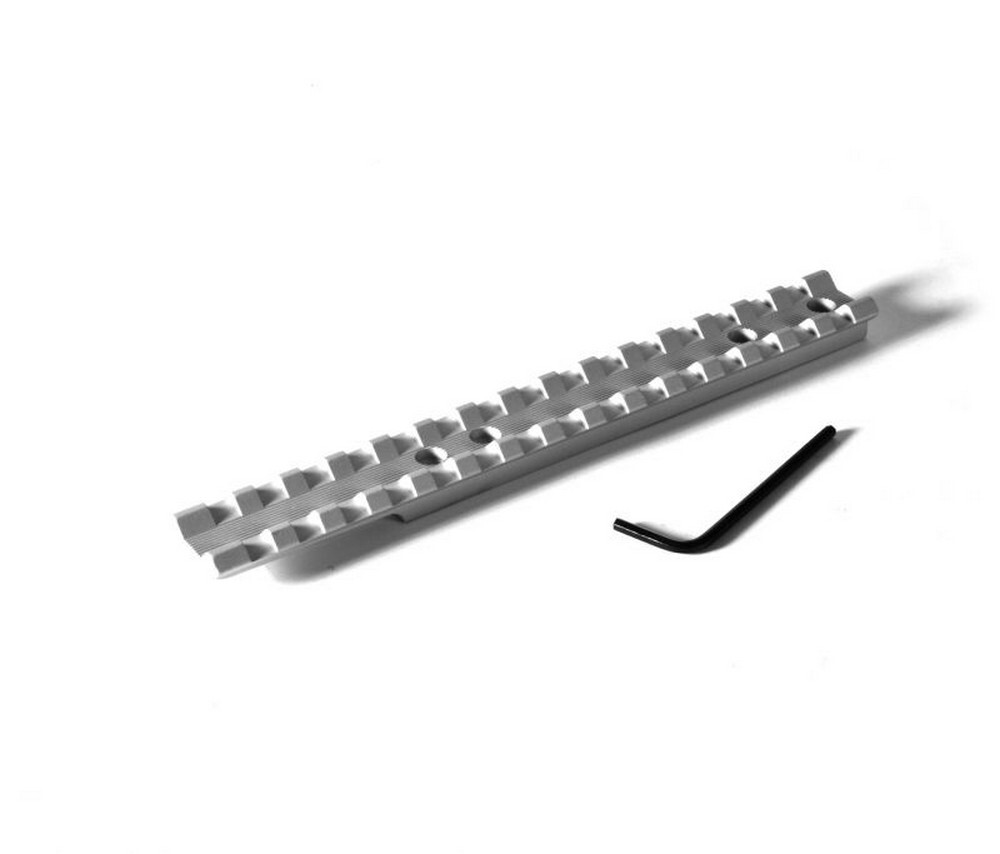 EGW Silver for Ruger 10-22 Picatinny Rail Mount 0 MOA 46110 for sale ...