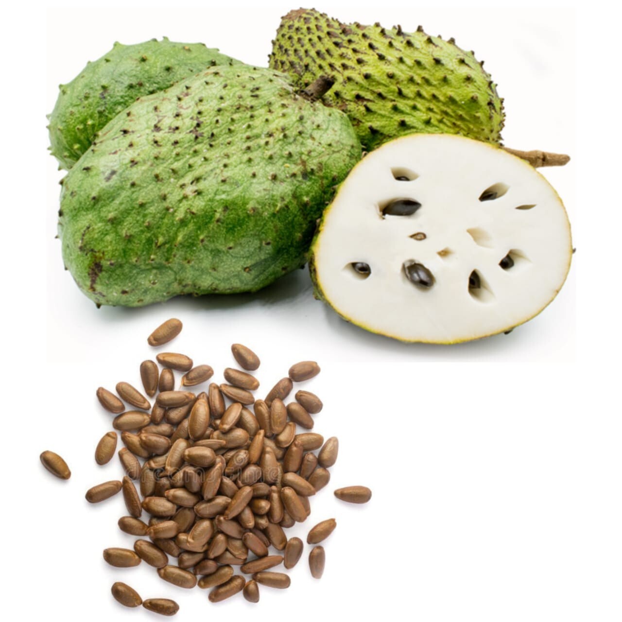 Ceylon Annona muricata Seeds Soursop Giant Graviola Fruit Seeds 10 ...