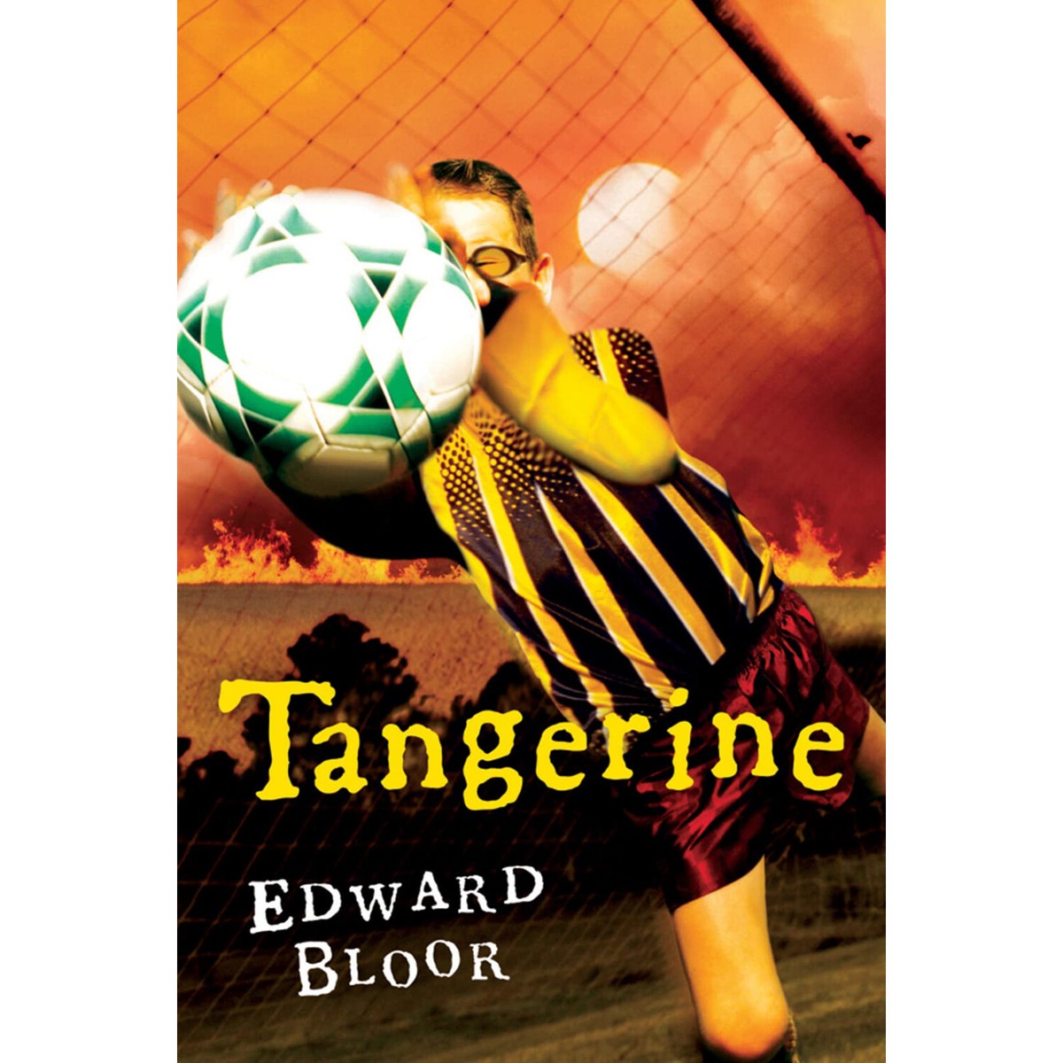 Tangerine By Edward Bloor Quiz