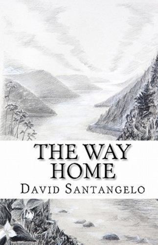 Way Home by David Santangelo (2010, Trade Paperback) for sale online | eBay