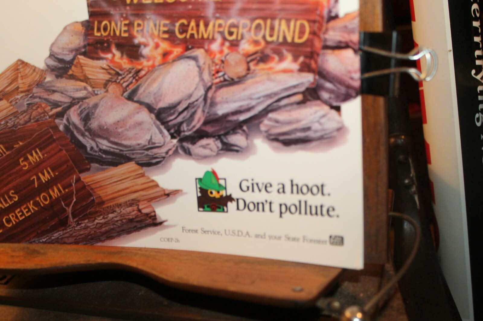 Vintage USDA US Forest Service Poster Give A Hoot, Don't Pollute ...