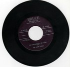 Harptones BRUCE 102 Doo Wop My Memories of You / It Was Just for Laughs ...