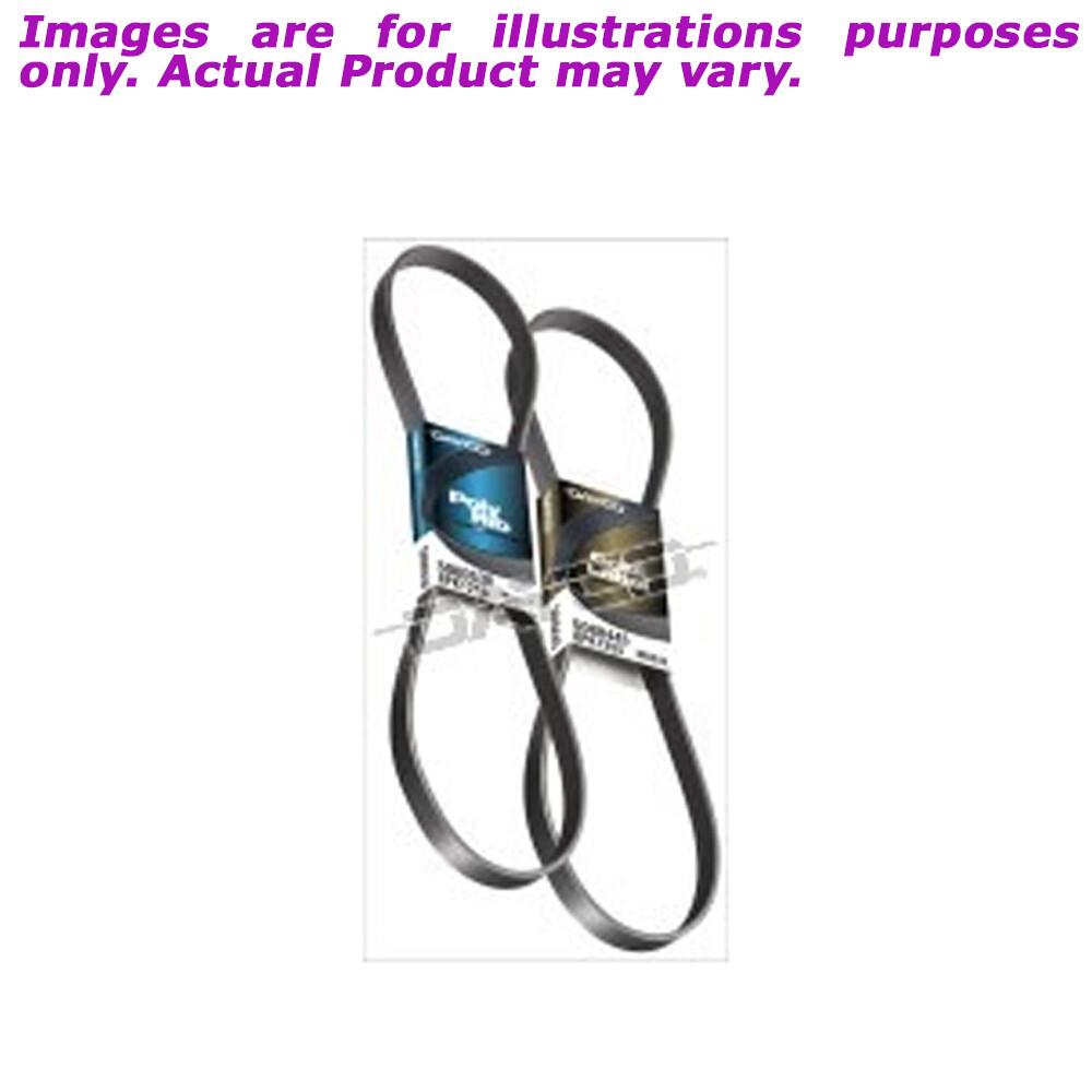 New DAYCO Fan Belt For Volkswagen Caravelle 6PK2065 | eBay Australia