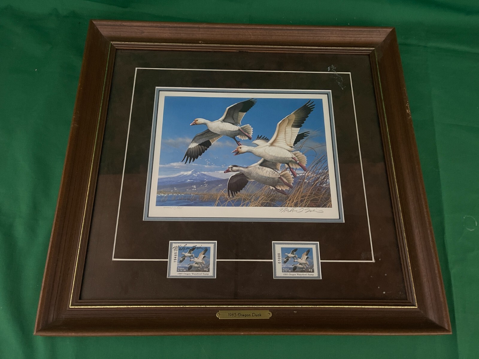 1985 Oregon State Duck Stamp Print - Lesser Snow Goose - by Michael ...
