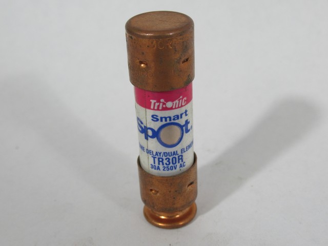 Gould Ferraz Shawmut TR30R Time Delay Fuse 30 Amp 250 VAC or Less for ...