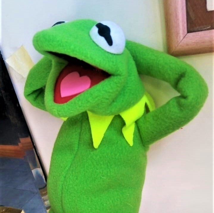 6 MUPPETS COLLECTION KERMIT ELMO ANIMAL COOKIE BERT ERNIE SESAME STREET ...