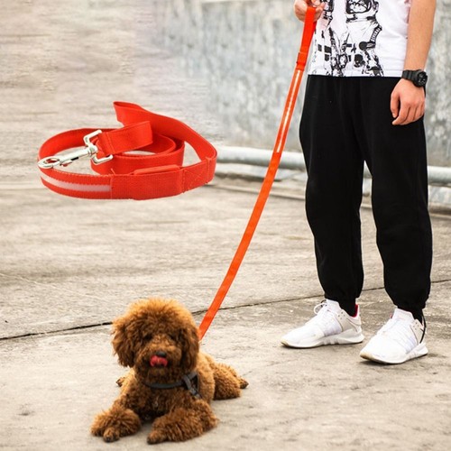 Nylon Dog Luminous Traction Rope Night Safety Flashing Rope At Night | eBay