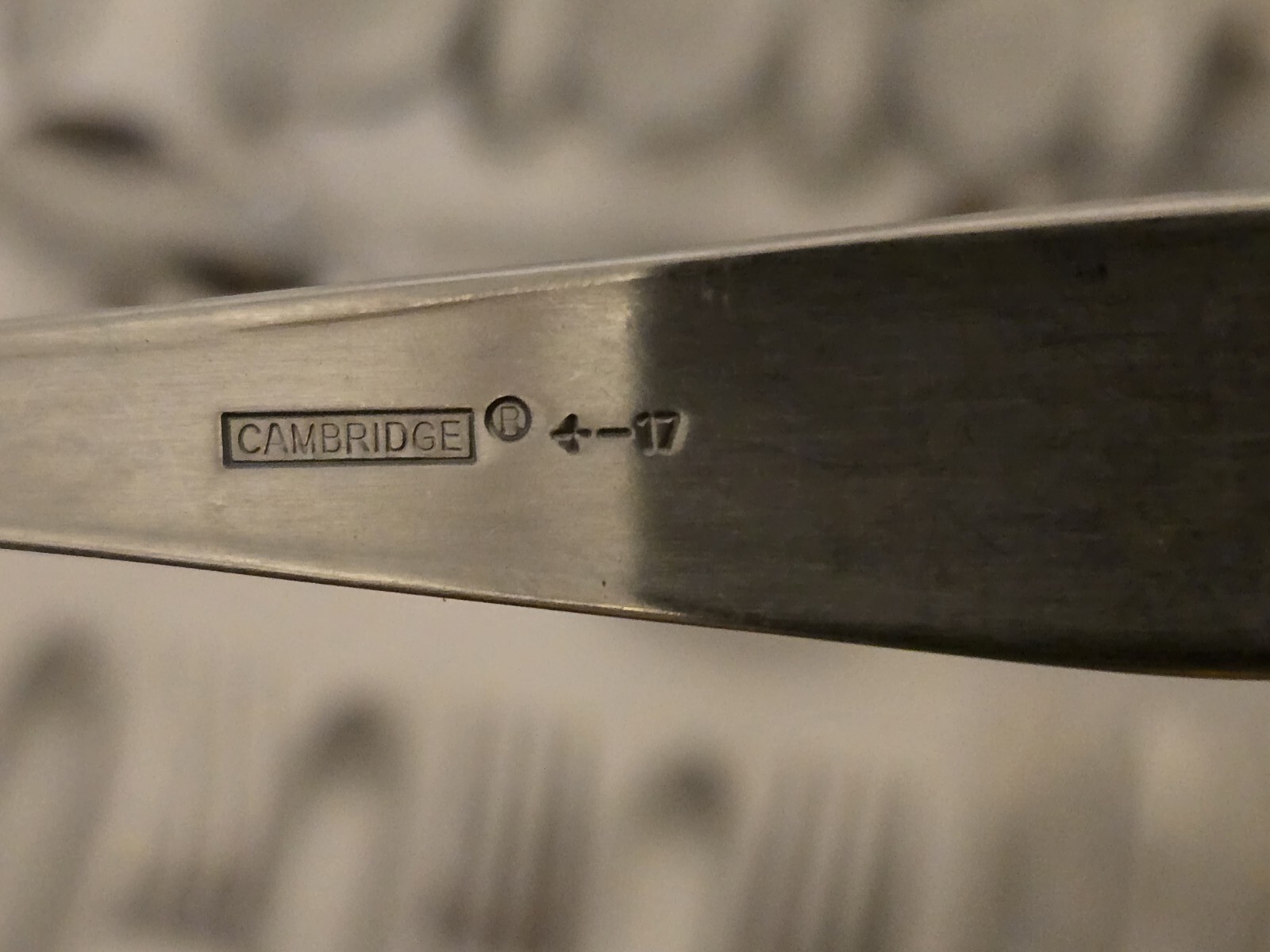 Cambridge +17 Flatware Lot Of 46 Pieces Stainless Steel Silverware Set ...