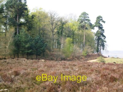 Photo 6x4 Hasley Hill Inclosure Ogdens The footpath around Hasley Hill ...
