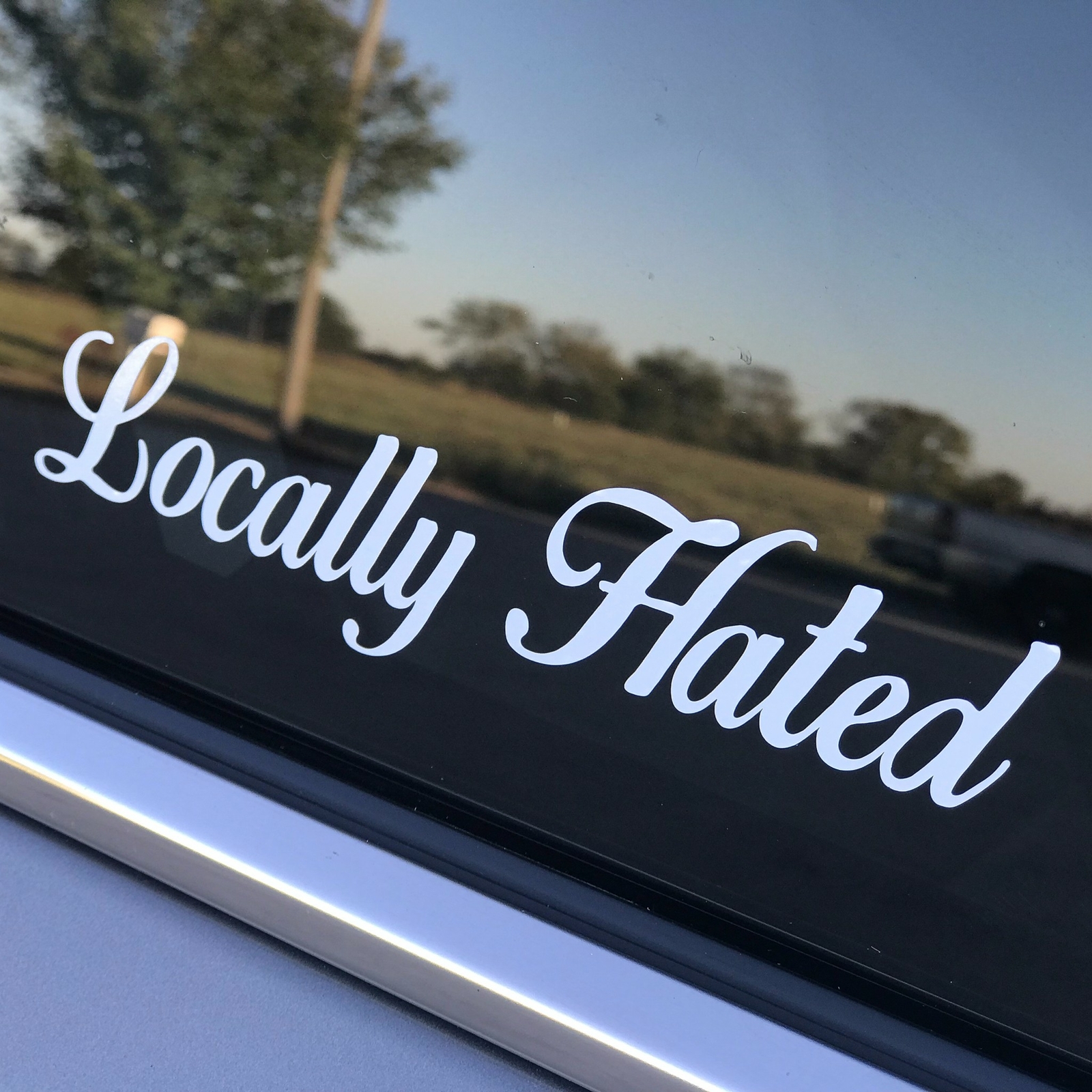 Locally Hated Decal Sticker JDM Lowered Bumper Slammed Window Car Truck ...
