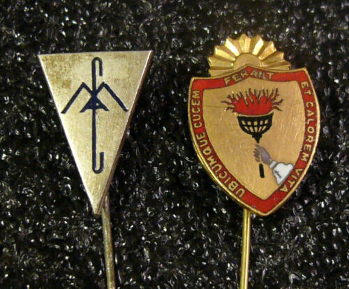 EUROPE OLD LOT 2 CATHOLIC LATIN LAPEL NEEDLE PINS ENAMELED DESIGN ...