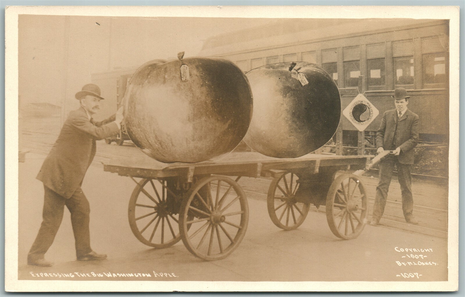 EXAGGERATED APPLE ANTIQUE PHOTO POSTCARD RPPC SOUTHERN PACIFIC EXPRESS ...