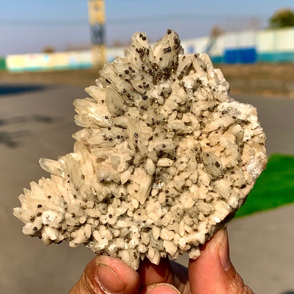129G Natural Smoky Dog Tooth Calcite Cluster+chalcopyrite Mineral ...
