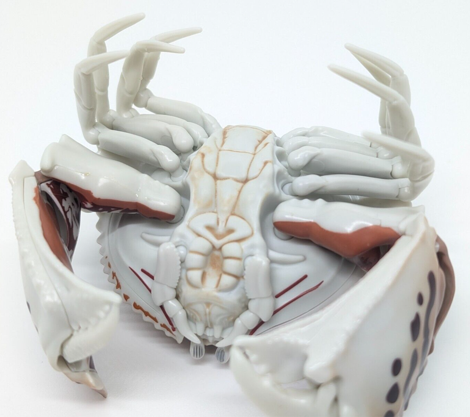 Bandai Japan Gashapon Figure Calappa Lophos Shame-faced Box Crab from ...