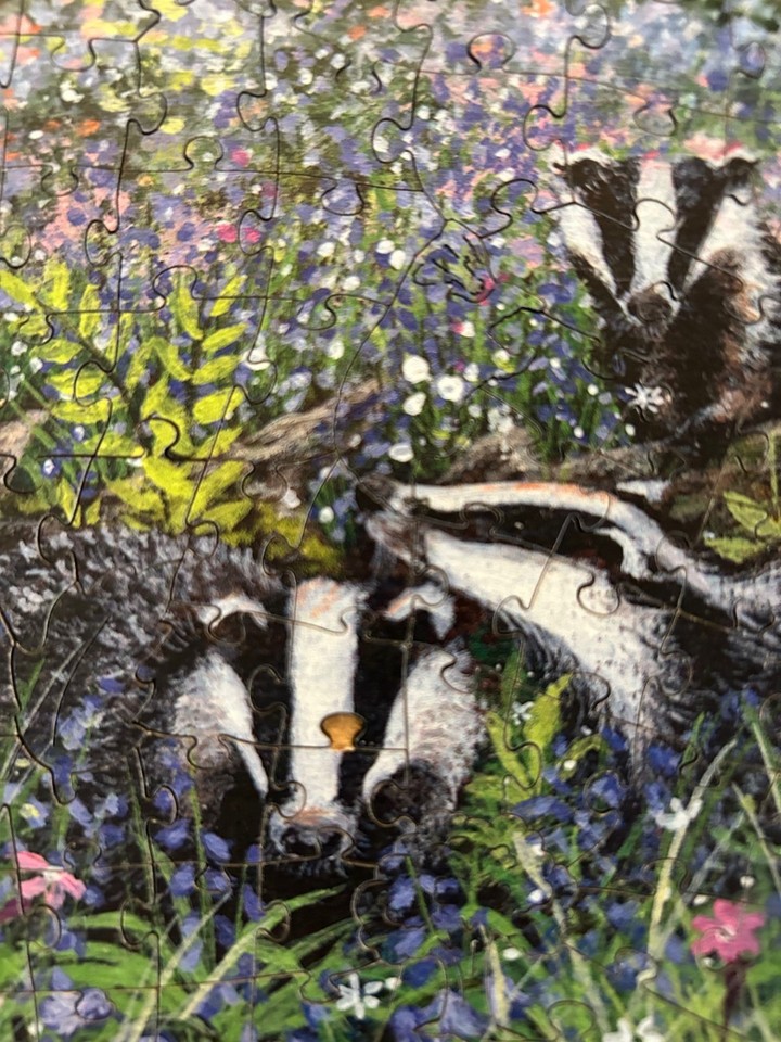 Wentworth 240 pc. Wood puzzle- Badgers in Bluebells complete | eBay
