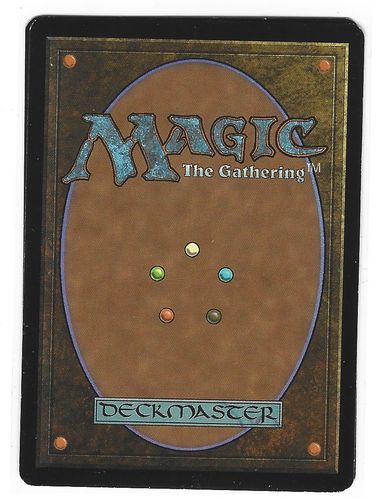 MTG Brave the Elements Magic 2014 10/249 Regular Uncommon | eBay