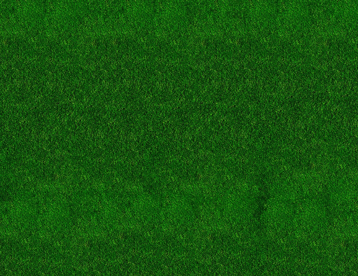 Dark Grass Texture Seamless