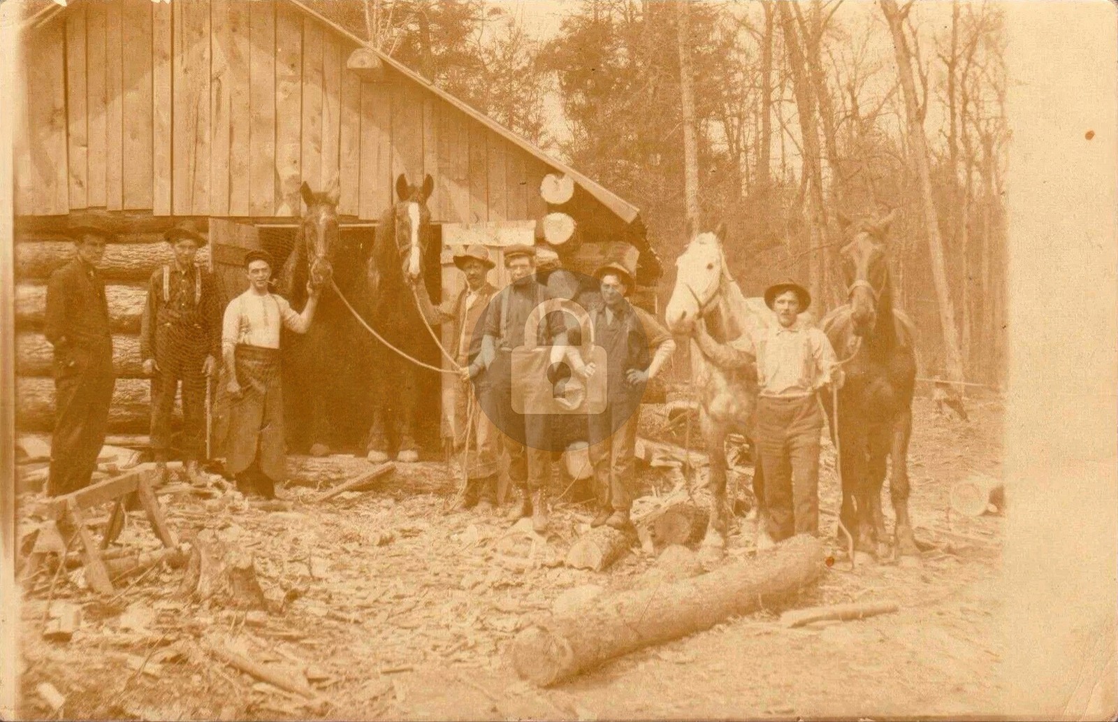 Goodman WI Wisconsin 1909 Logging Camp Lumberjacks RPPC Photo Postcard ...