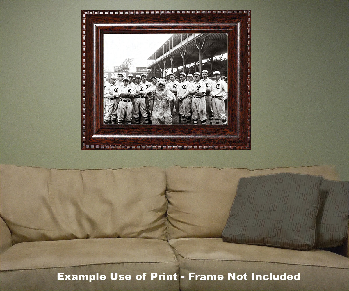 Chicago Cubs 1908 World Series Champions Mascot Team 48x36-8x10 CHOICES ...